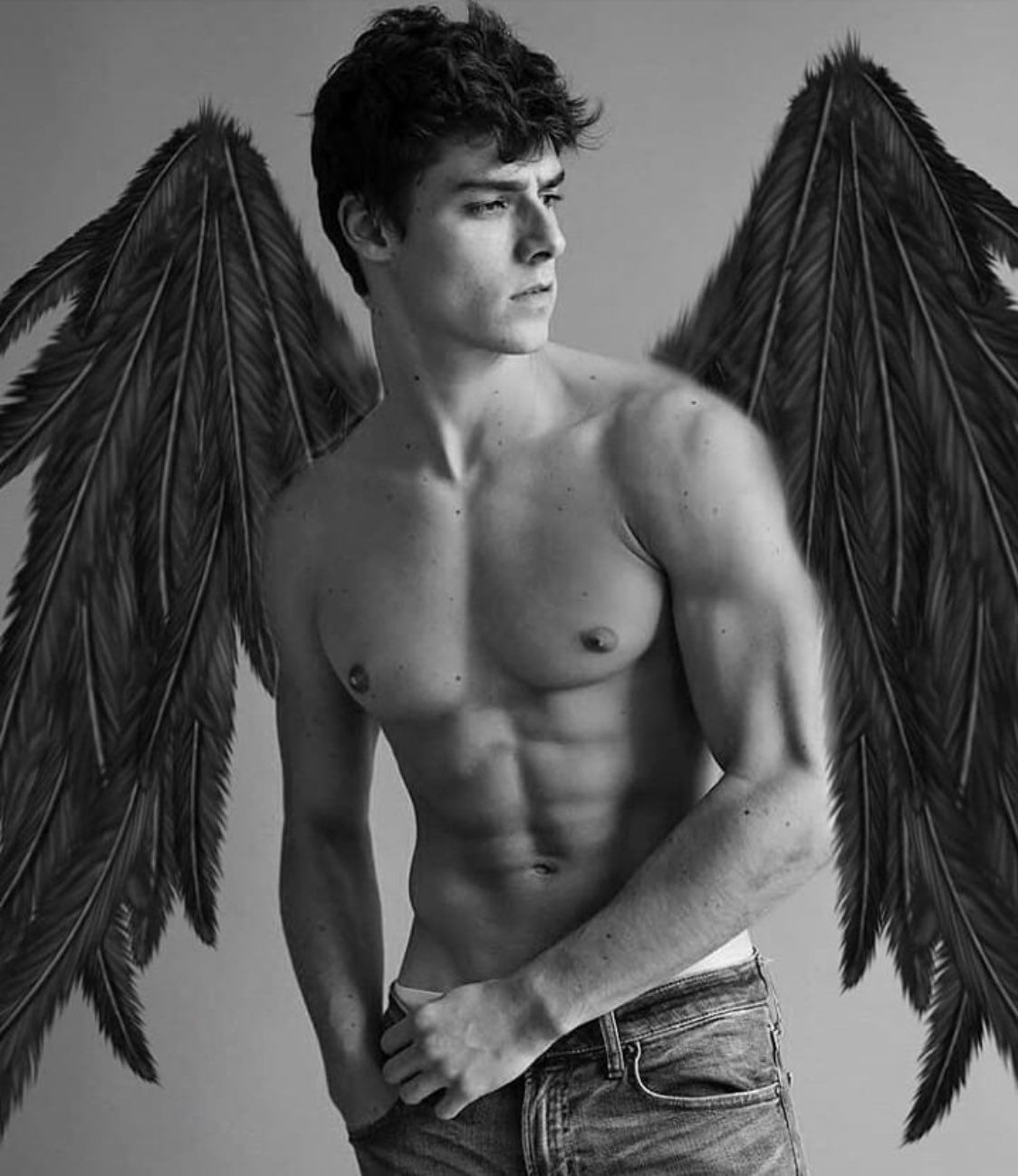 Hush Hush Patch Wings