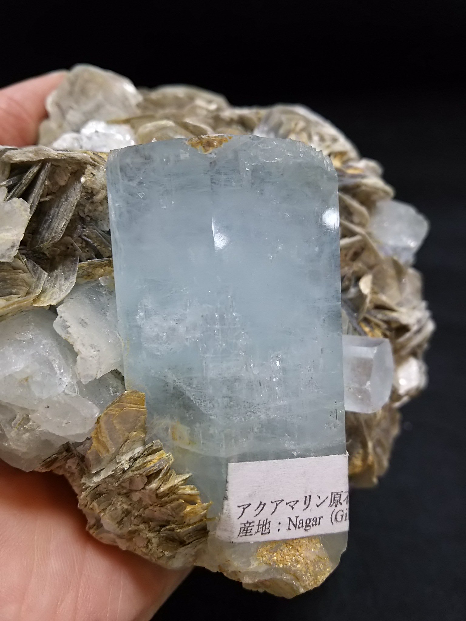 クリスタルワールド立川店 on X: クリスタルワールド立川店 on X: