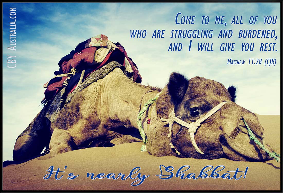 Shabbat Shalom Funny