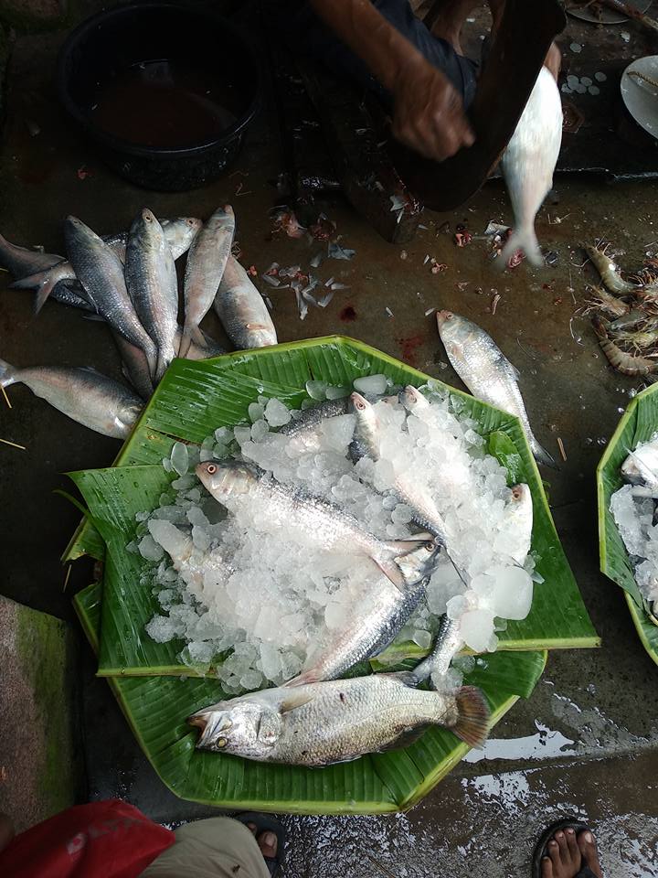 DEBAYAN GHOSH (@debayan143) | Twitter