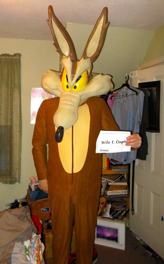 Wile E Coyote Head