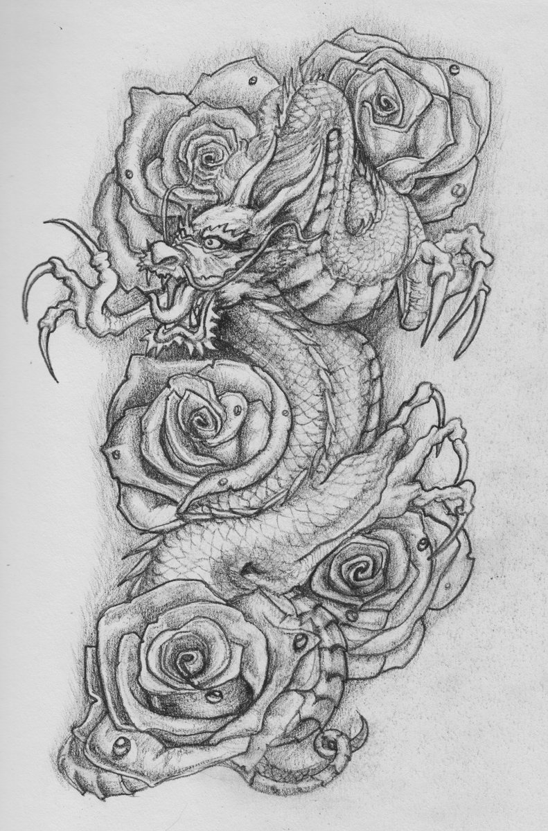 Dragons And Roses Drawings