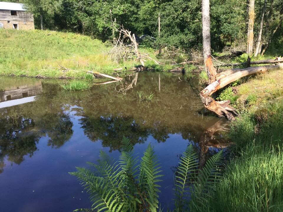 Sam Gandy (@SamwiseGandy) | Twitter