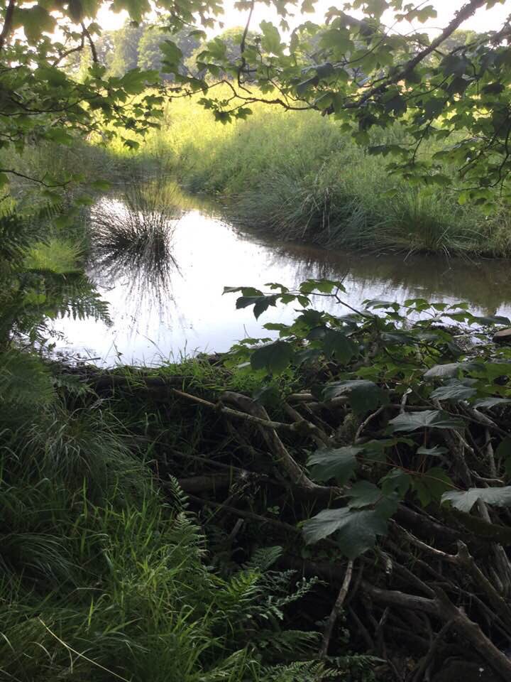 Sam Gandy (@SamwiseGandy) | Twitter