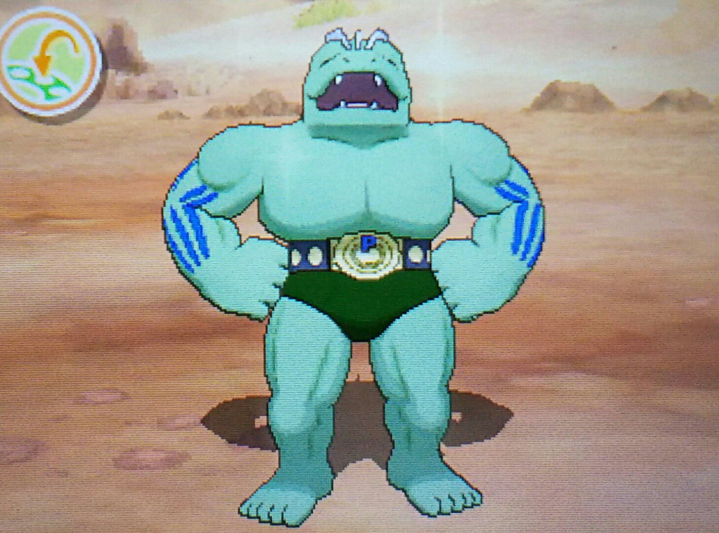 Machoke Pokemon Amie