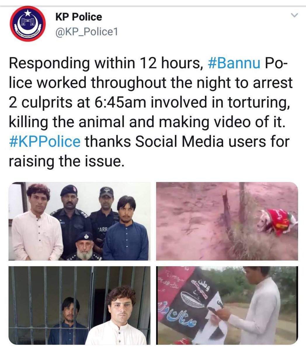 82 best Twitter Pti images on Pholder | PTI, Ch M Sarwar and PT Iofficial