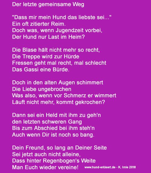 66+ Gedichte über Hunde | Siewirdesschaffen