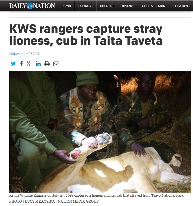 Tony Gitonga Kainga (@TKainga) | Twitter