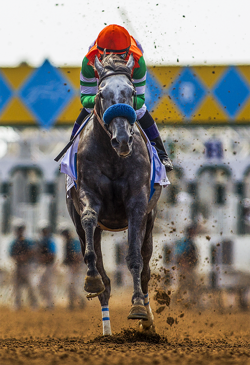 Alex Evers on Twitter: "Going through the photos of Unique Bella she still had the shoe hanging ...