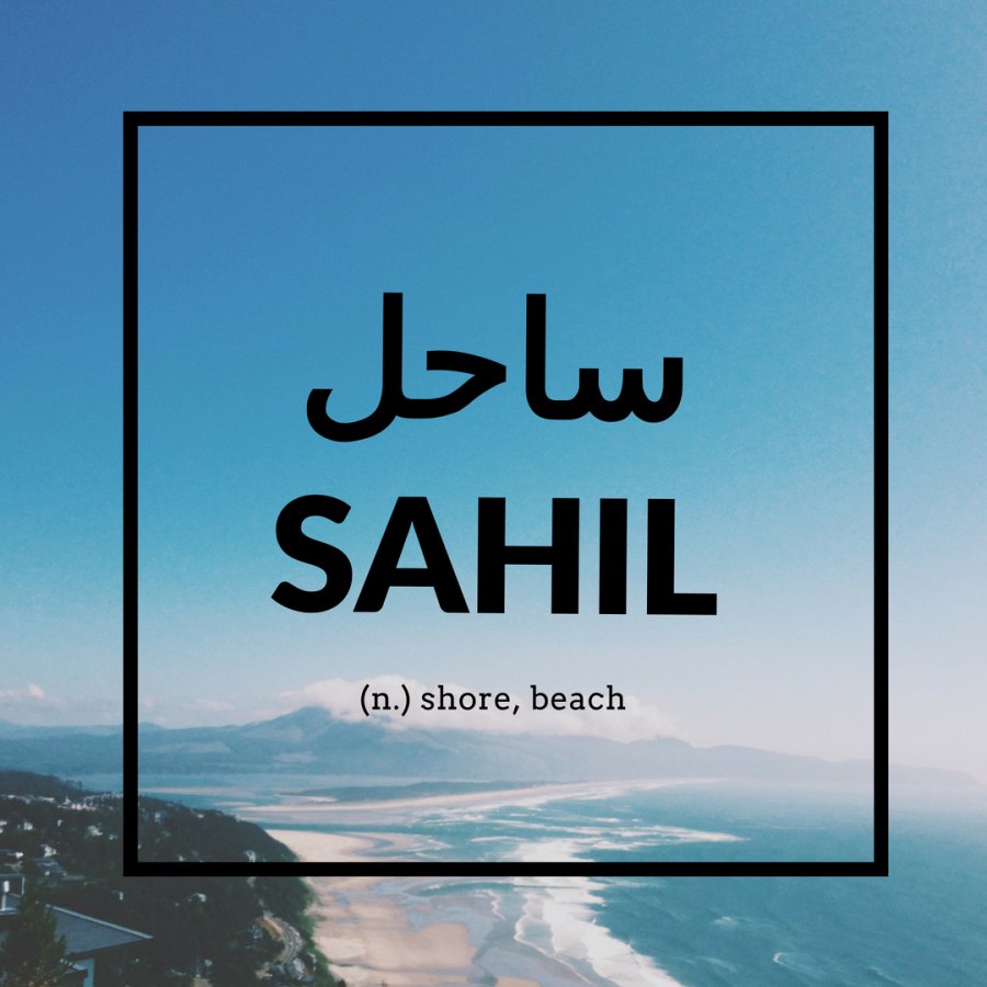 Sahil Logo In Urdu
