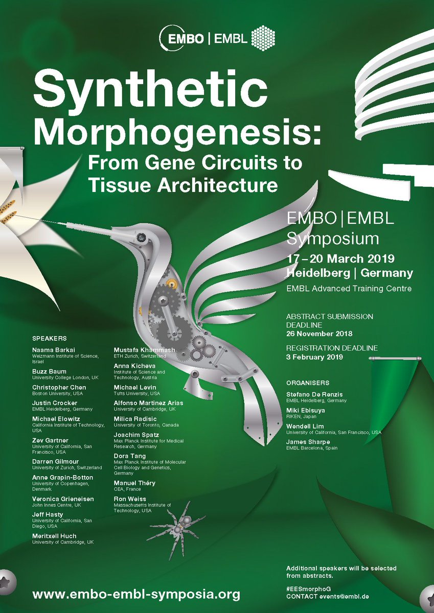 surface réglée architecture