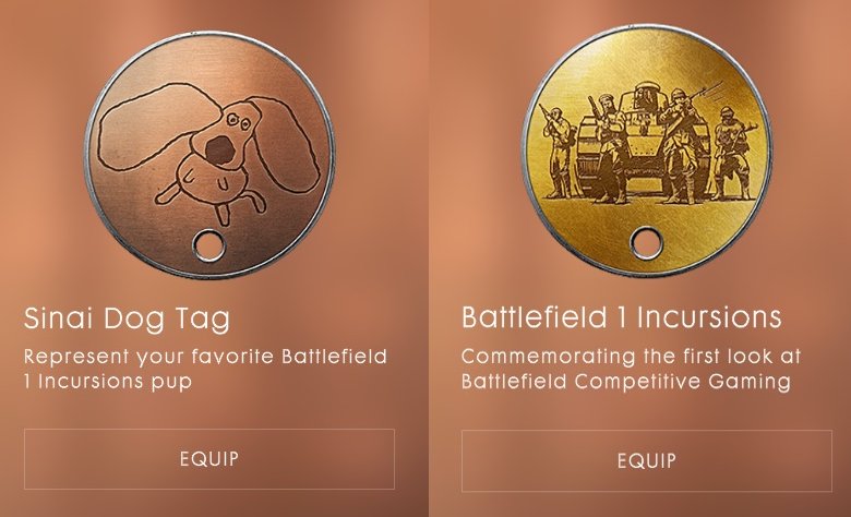 What Do Dog Tags Represent