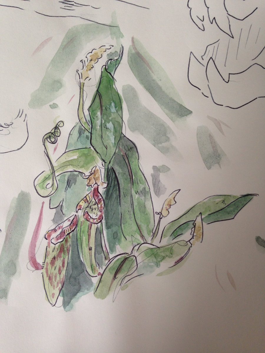 「reposting some specific favs/details from yesterday's museum」Natalie ...