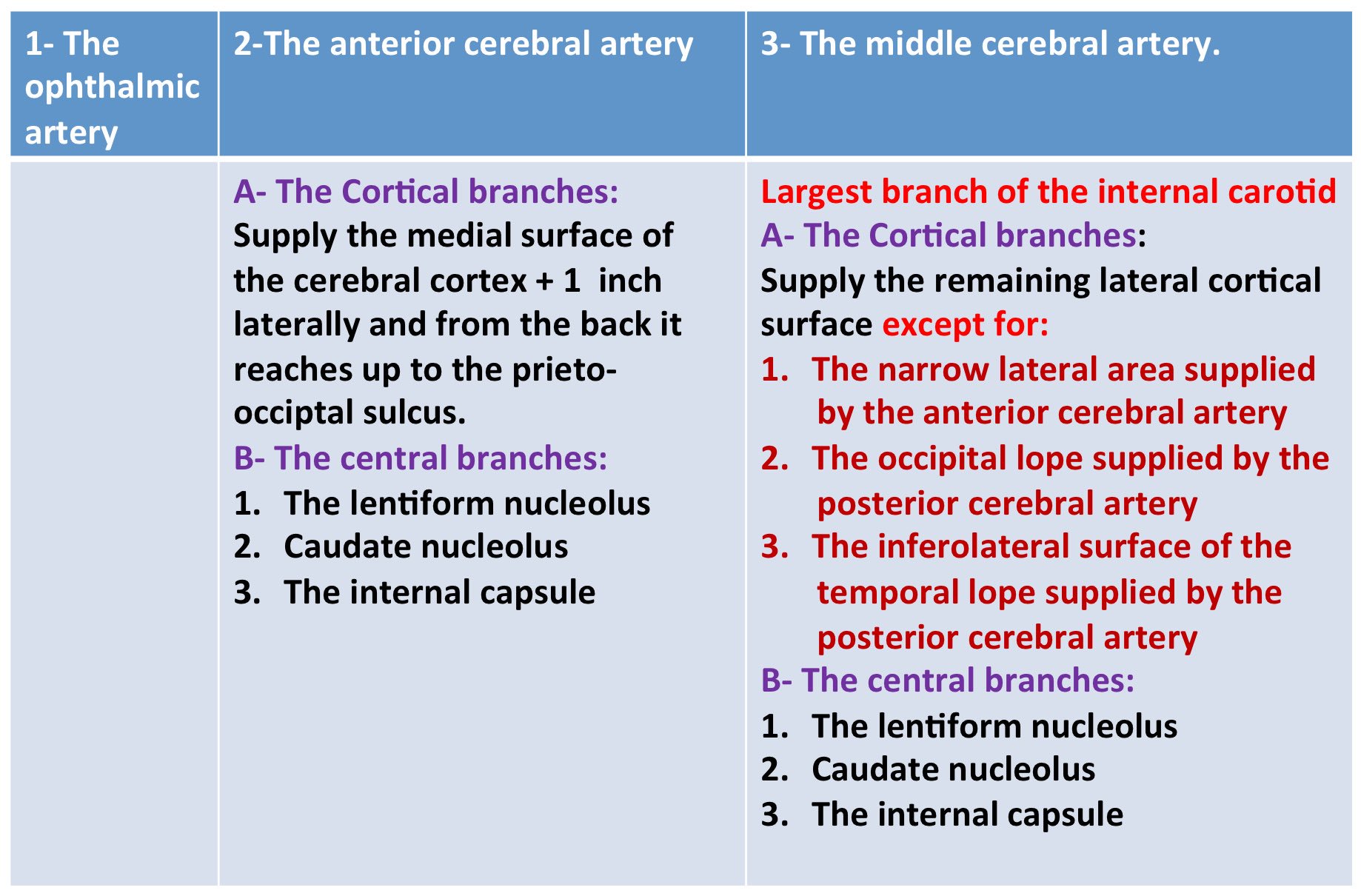 Branches Of Internal Carotid Artery
