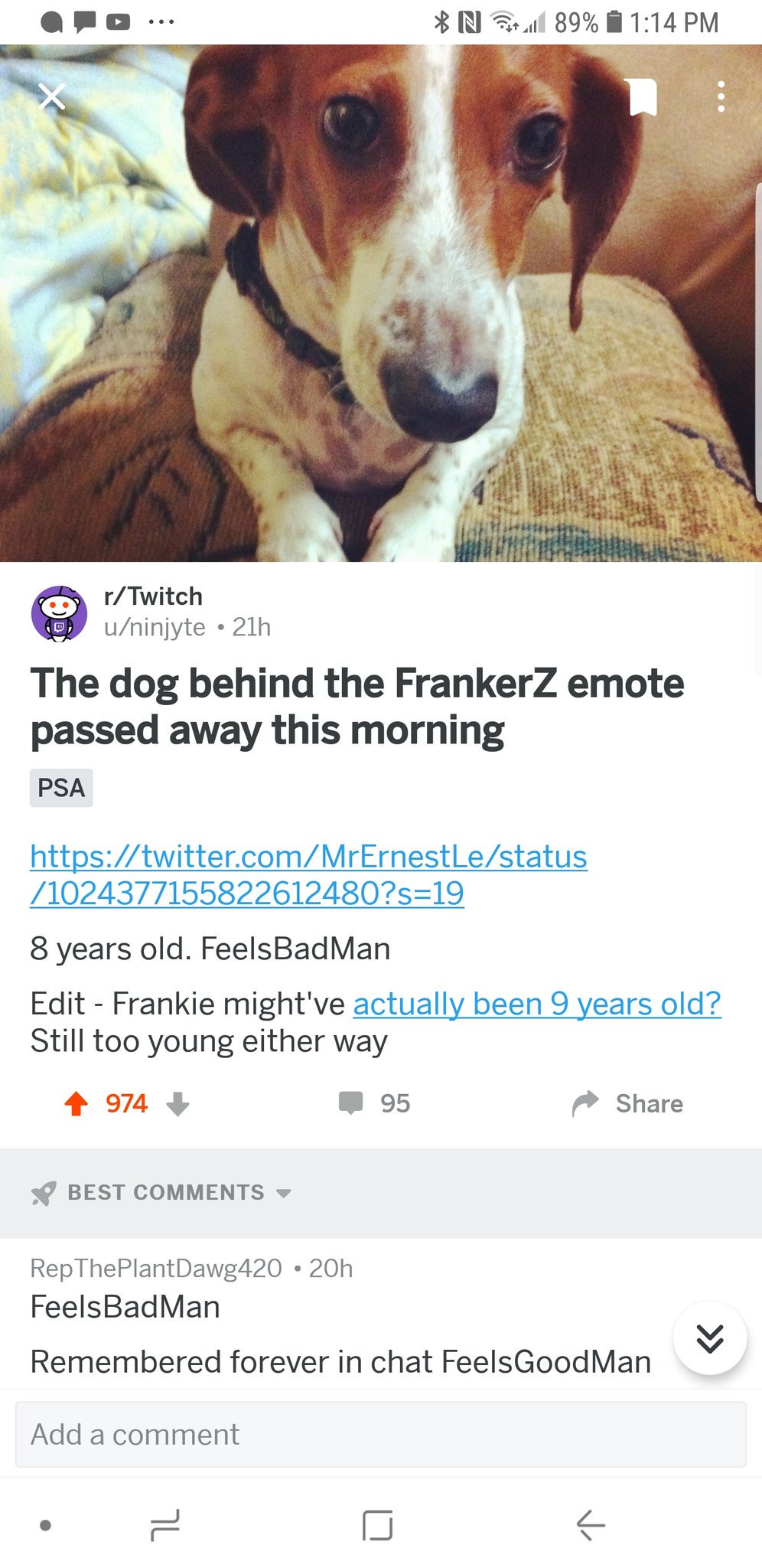 Frankerz
