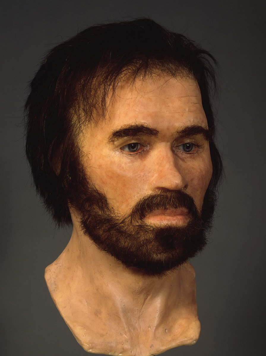 Scientists at the Museum discovered he was about 25 when he died ...