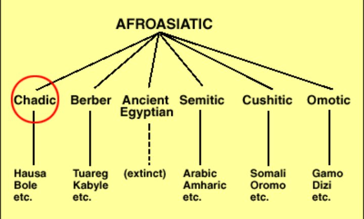 Similarities: Amharic vs Arabic | The Internet's largest African ...