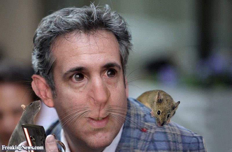 Michael Cohen being investigated for tax fraud