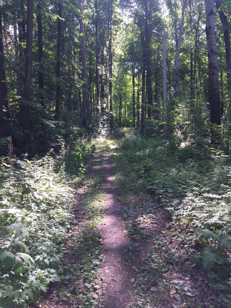 Mark Muthii (@muthiimm) | Twitter