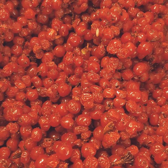 Splitrock Environmental (@SplitrockEnv) | Twitter