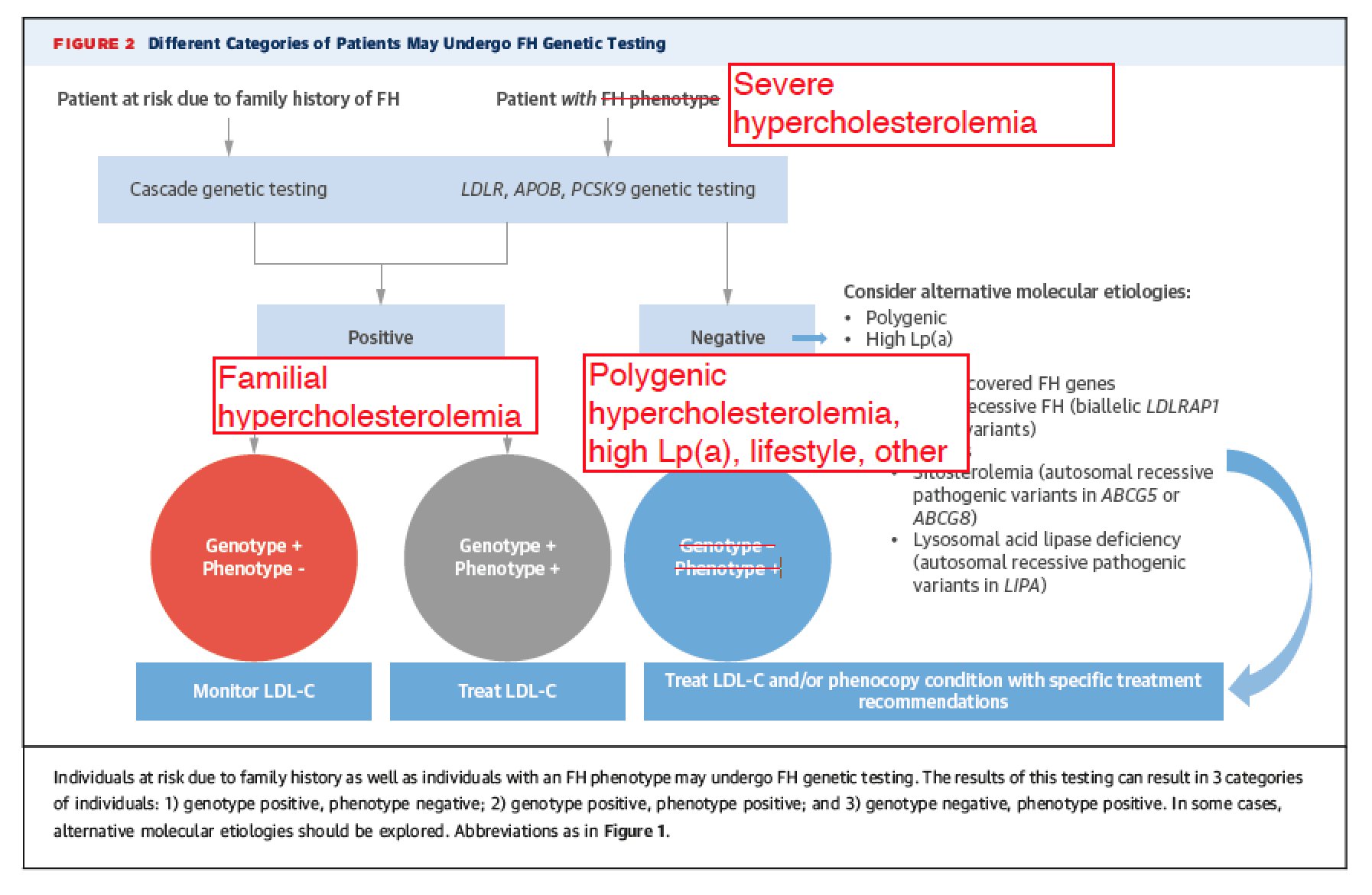 Familial Hypercholesterolemia Genetics