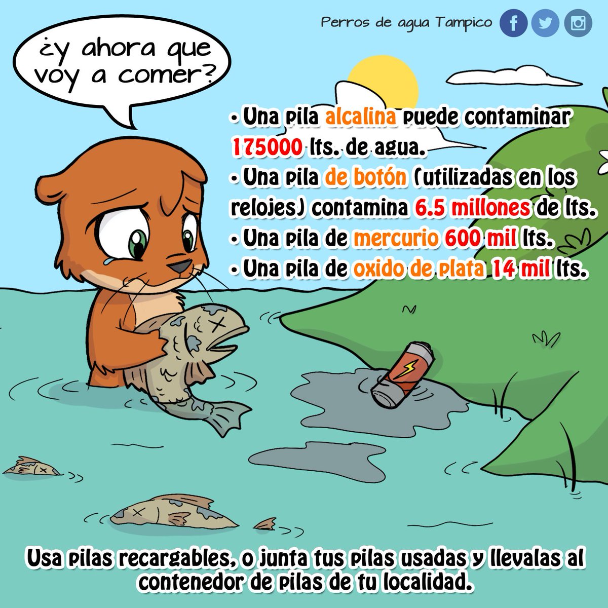 Belicoso Opcional Marina contaminan las pilas Susceptibles a ...