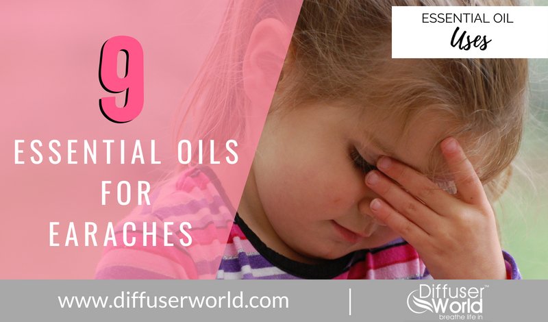 Diffuser World Oil Diffusers (@DiffuserWorldUS) | Twitter