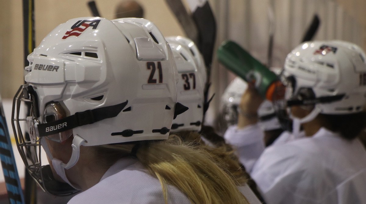 Rochester Monarchs Youth Hockey