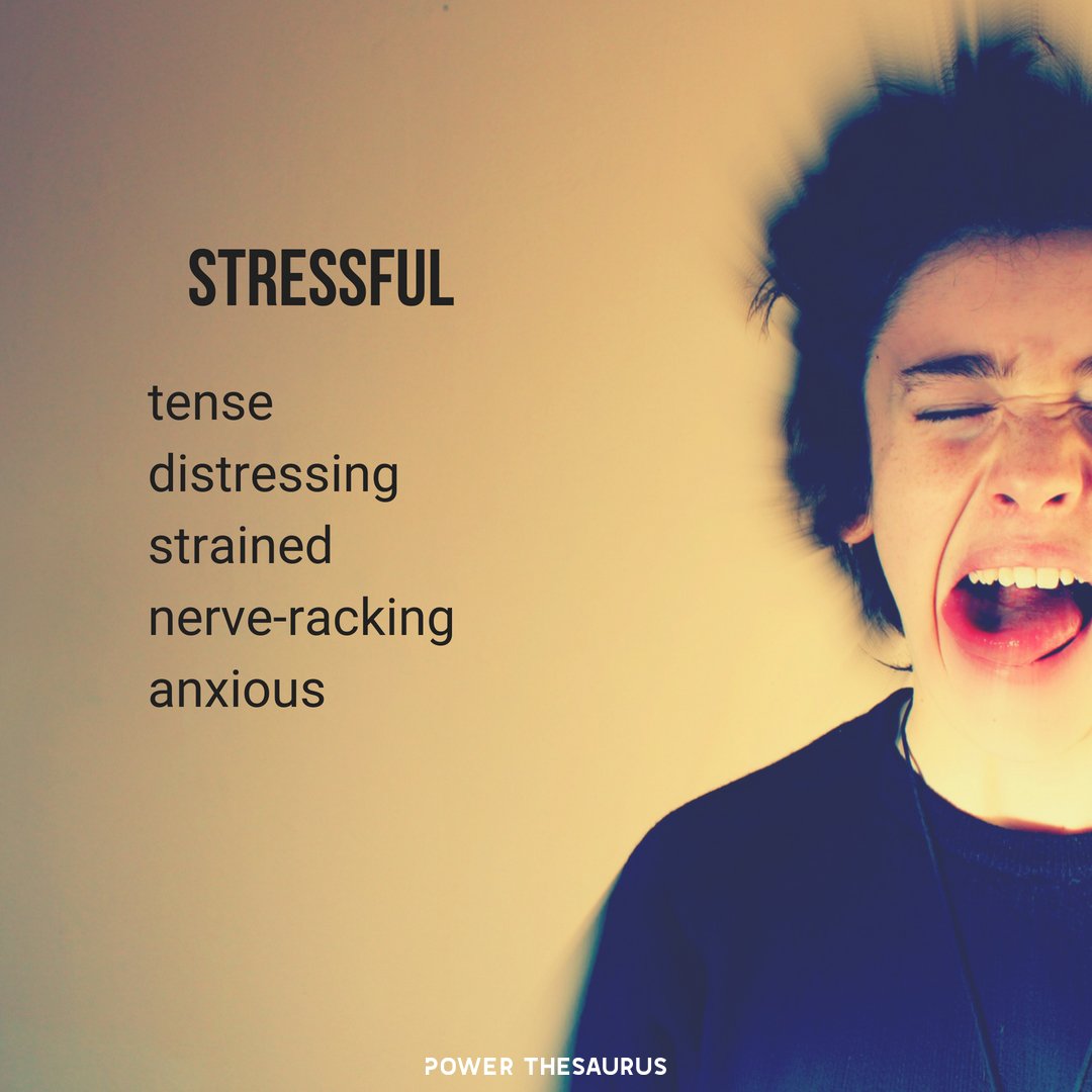 Meditation Thesaurus