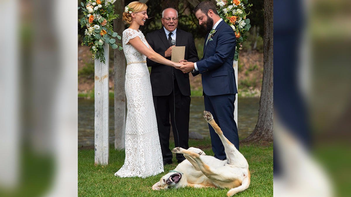 Rob Blumberg (@rob_blumberg) | Twitter