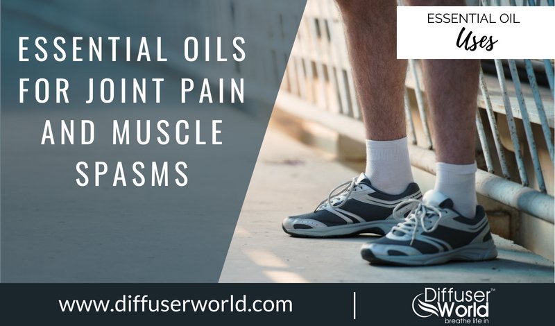 Diffuser World Oil Diffusers (@DiffuserWorldUS) | Twitter