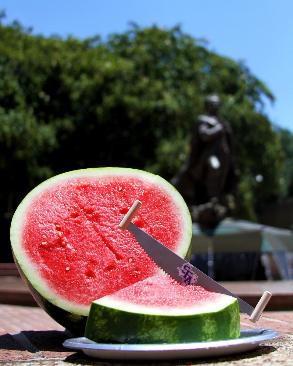Stephen F. Austin State University on Twitter: "Happy National Watermelon Day, Jacks! SFA’s ...