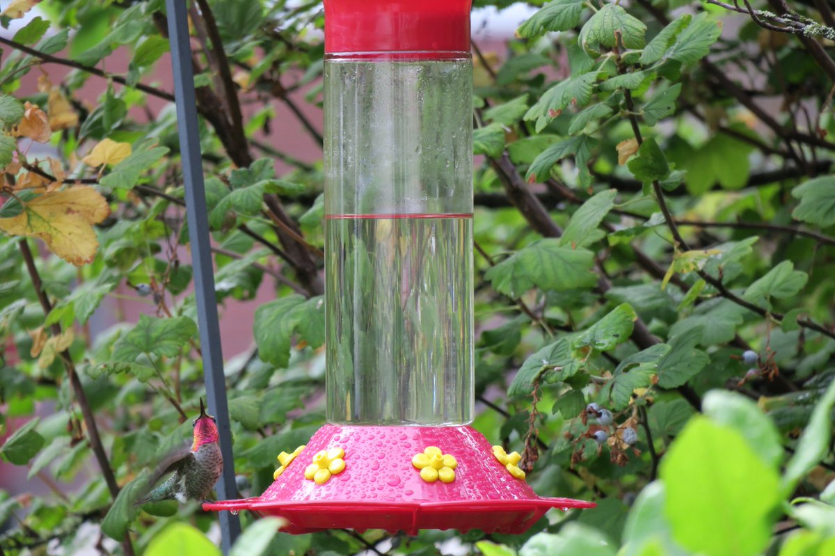 Sean Radigan (@pradigan) | Twitter