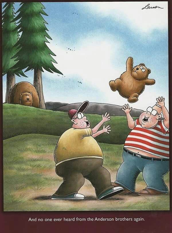 Gary Larson Bears Pointing At Each Other