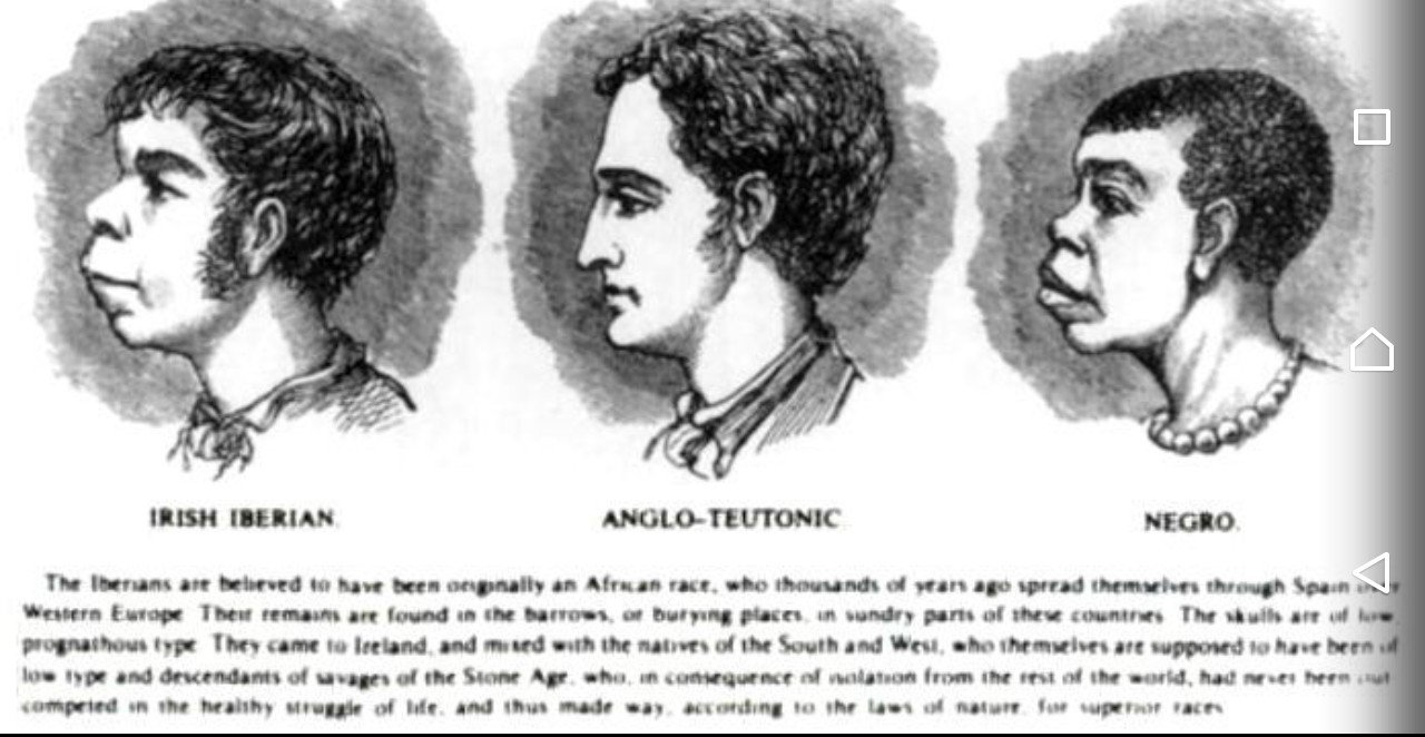 Celtic Facial Features