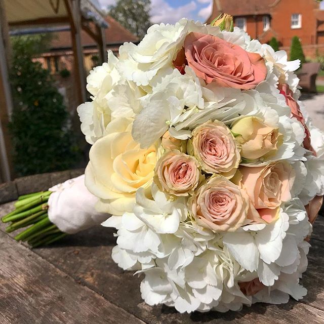 Rosa cappuccino - Organizzazione matrimonio - Forum Matrimonio.com