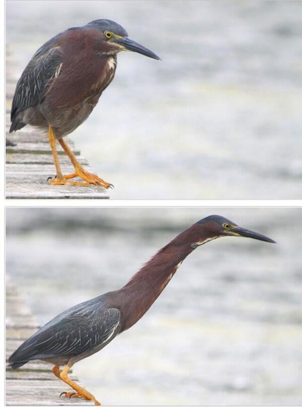 Northern Ohio. We found this random fella. No idea what it is. We think ...