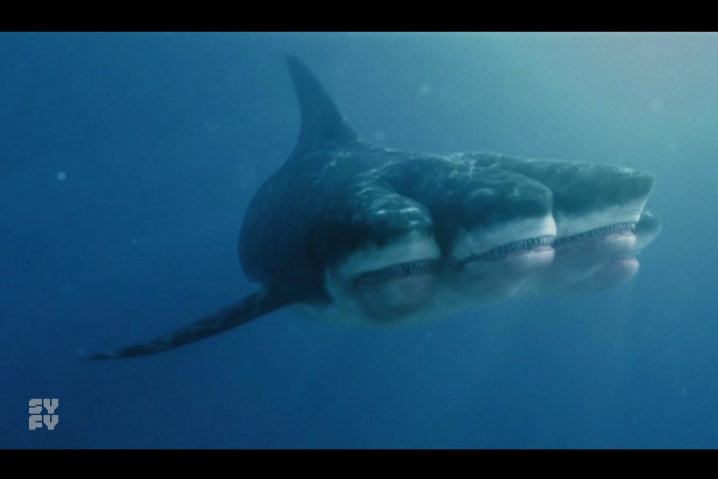 5 Headed Shark