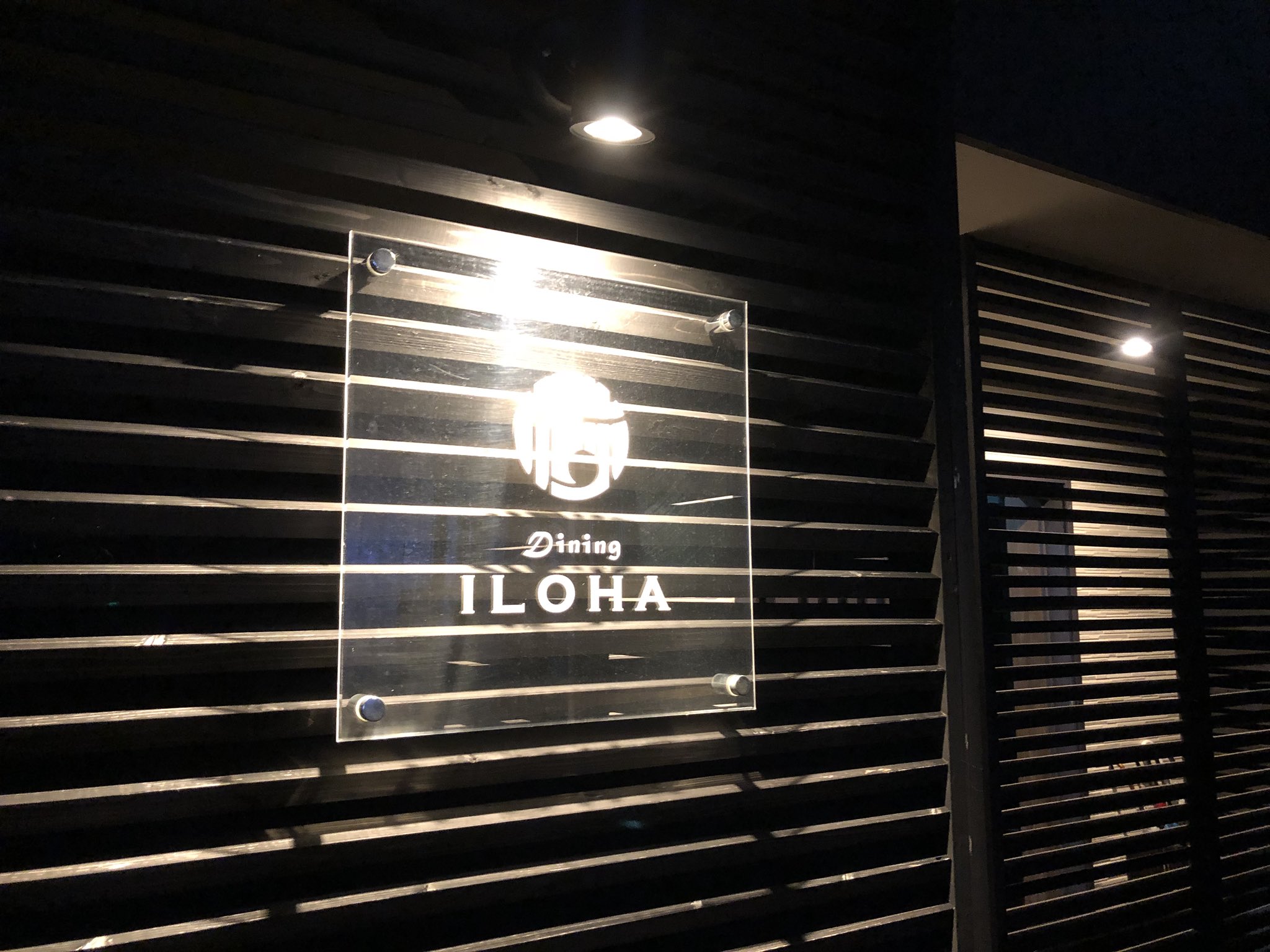 道ちゃんねる ／road Channel on Twitter: "いつものメンバーで飲み会す。 #ダイニングイロハ #ダイニング #イロハ #dining #ILOHA #田辺市 #和歌山 ...