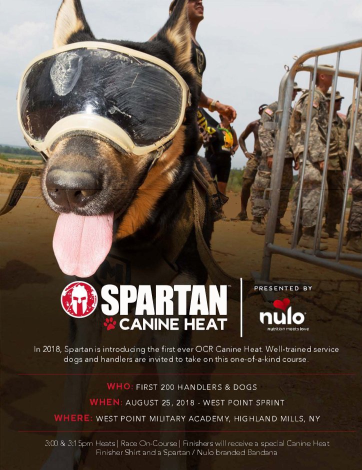 Are Dogs Allowed At Spartan Race