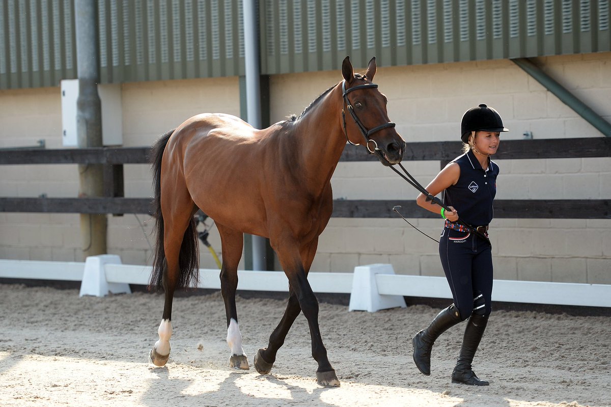 We can’t wait to see Hannah Barker & Ammanvalley Santino, Perdi Digby ...