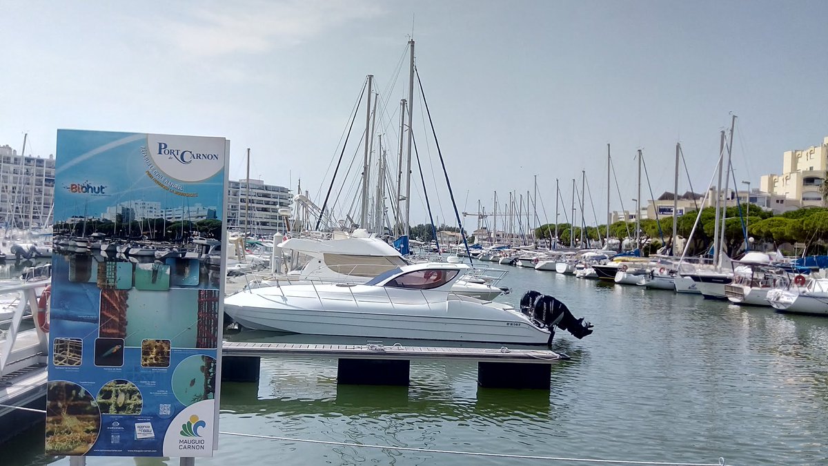 SamClouD (@SamClouD_IT) | Twitter