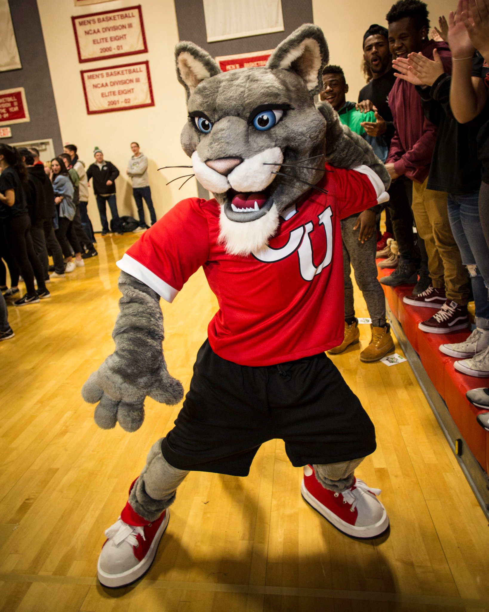 Clark University Mascot