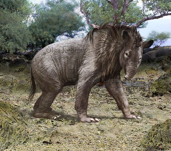 Extinct American Animals