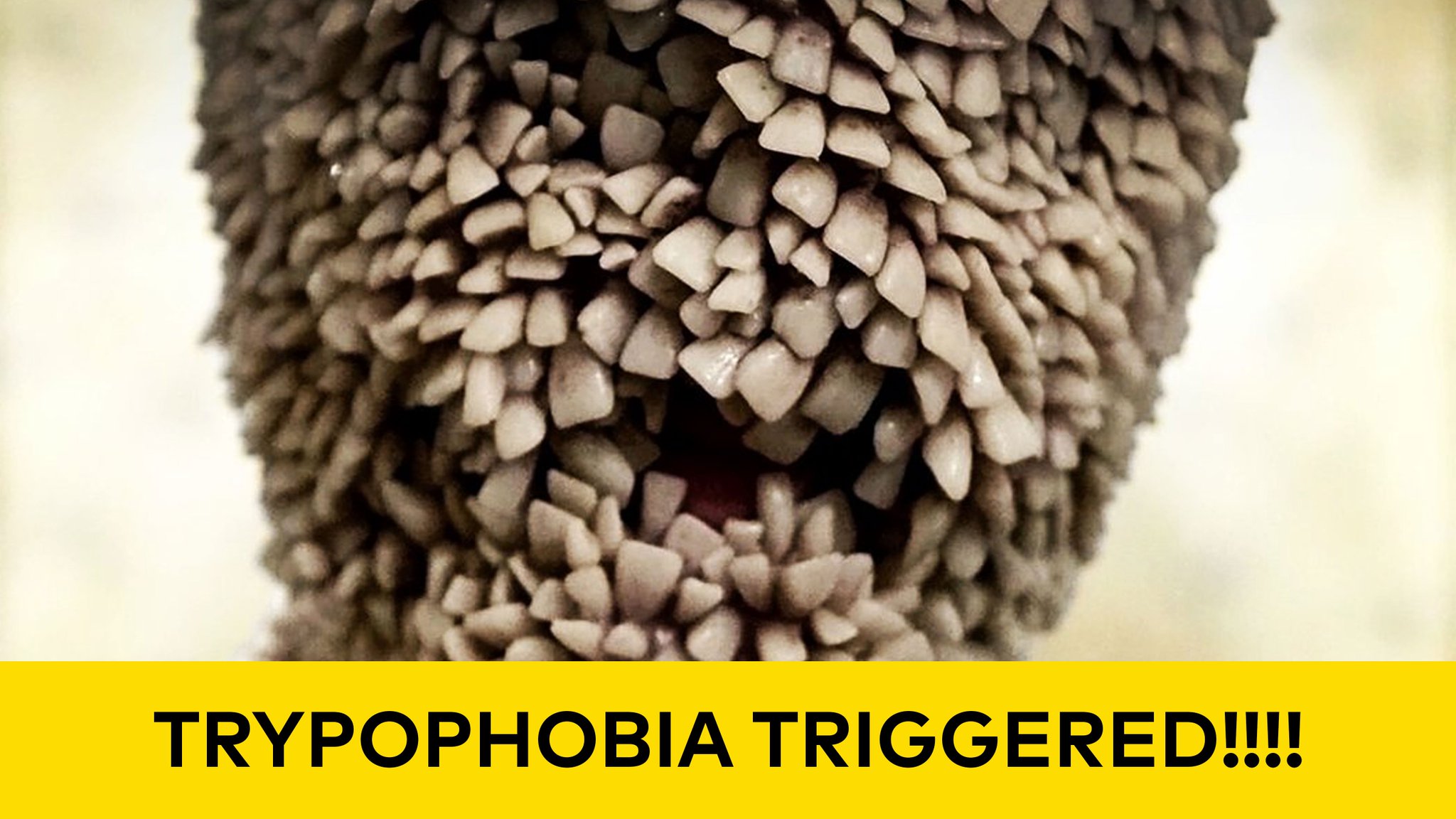 Trypophobia Teeth