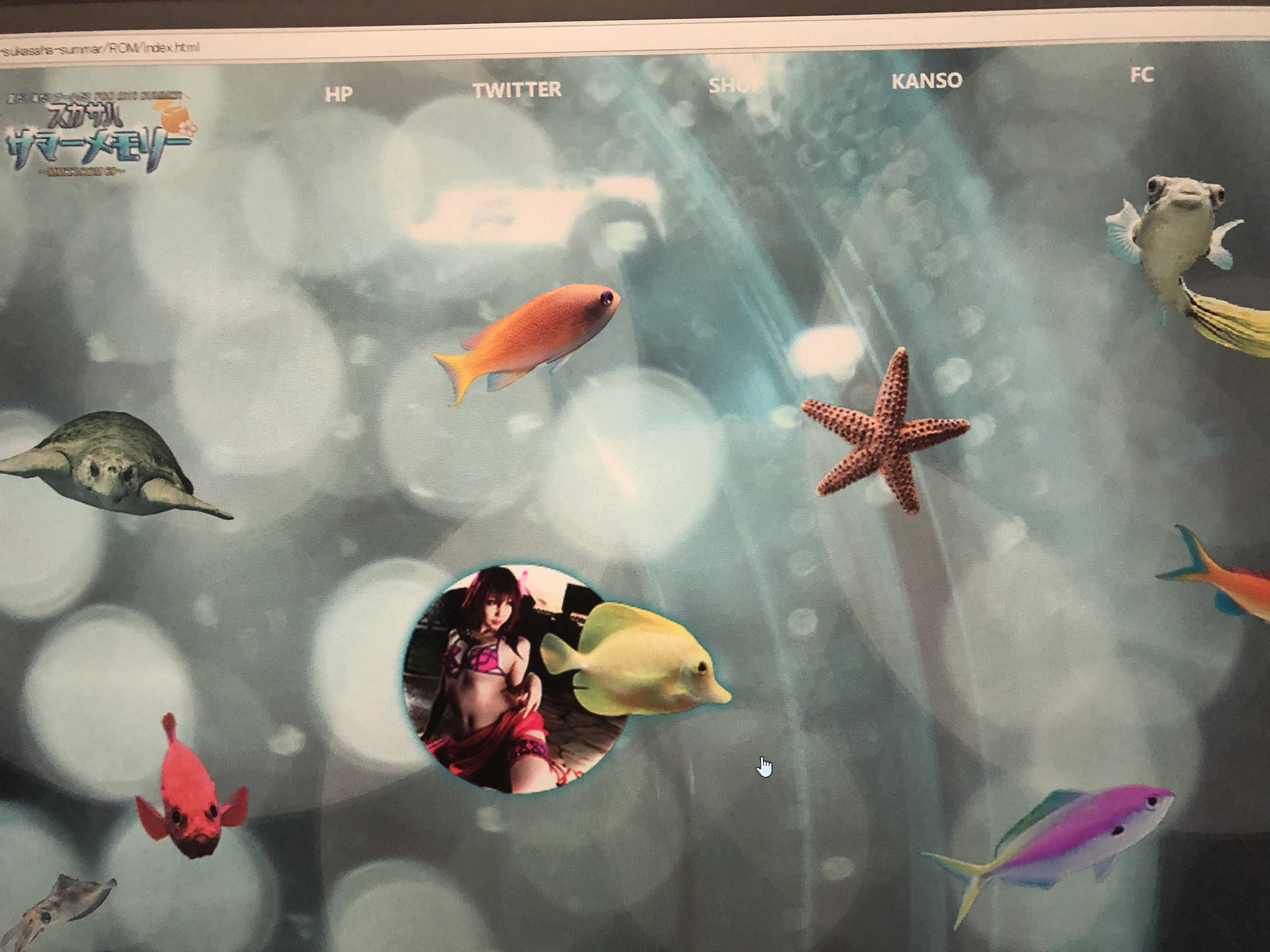 C94-ROMや写真集等で関わらせていただいたもの / Twitter