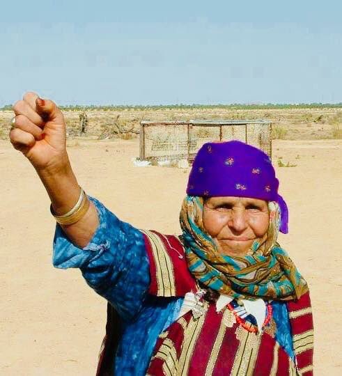 Chedly-Labidi 🇹🇳🇹🇳🇹🇳☮️☯️ (@labidi_chedly) | Twitter