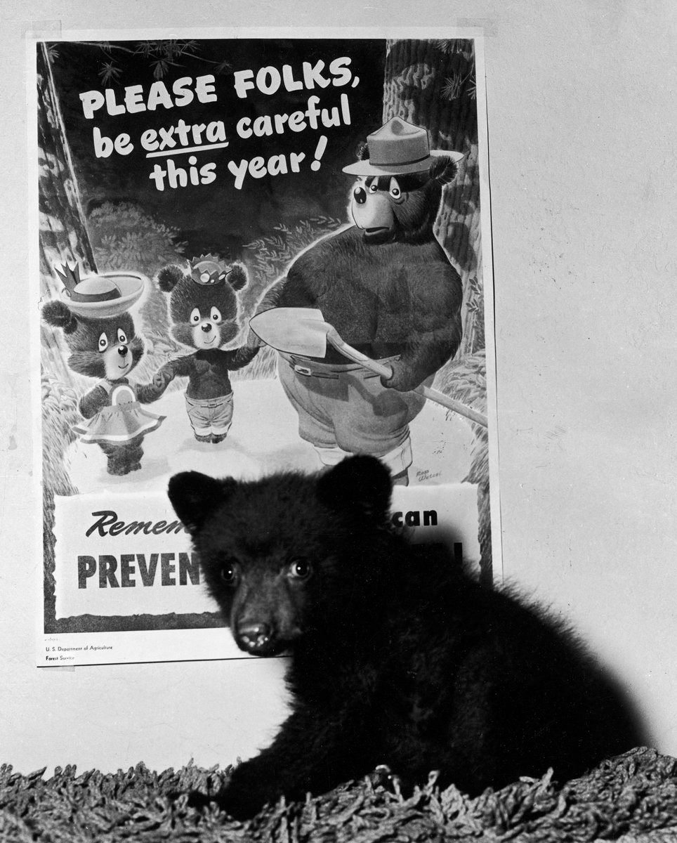 On ThisDayinHistory, 1944, the creation of mascot Smokey Bear was ... On ThisDayinHistory, 1944, the creation of mascot Smokey Bear was ...