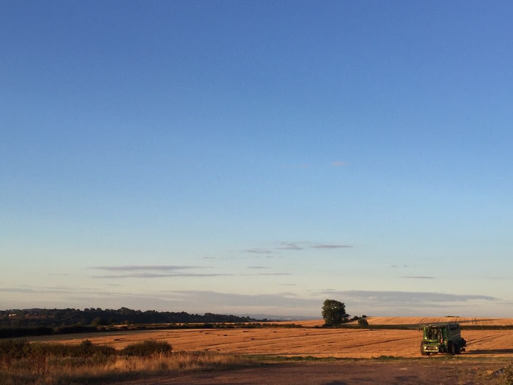 Eric Wright (@Wrights_Ag) | Twitter