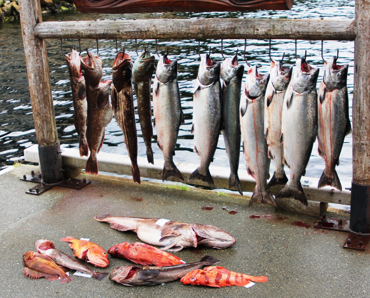 Swollfest Fishing Rodeo – Grand Isle, Louisiana